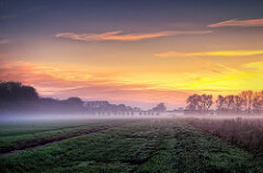 Index of /PPL/image/